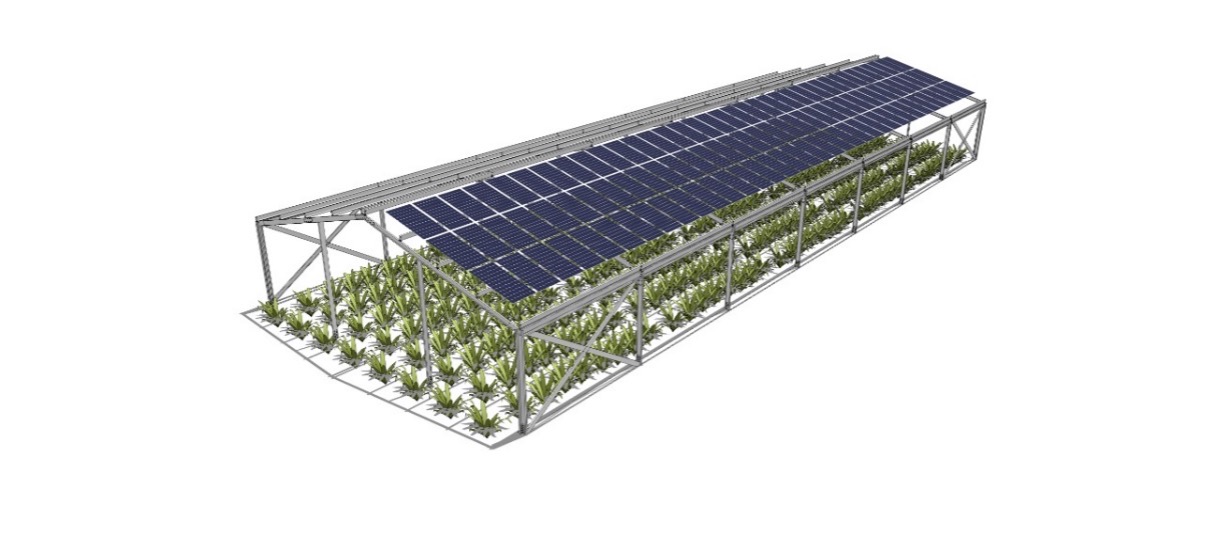 Agri-Cool Technologies: Innovative Solutions for Sustainable Agriculture